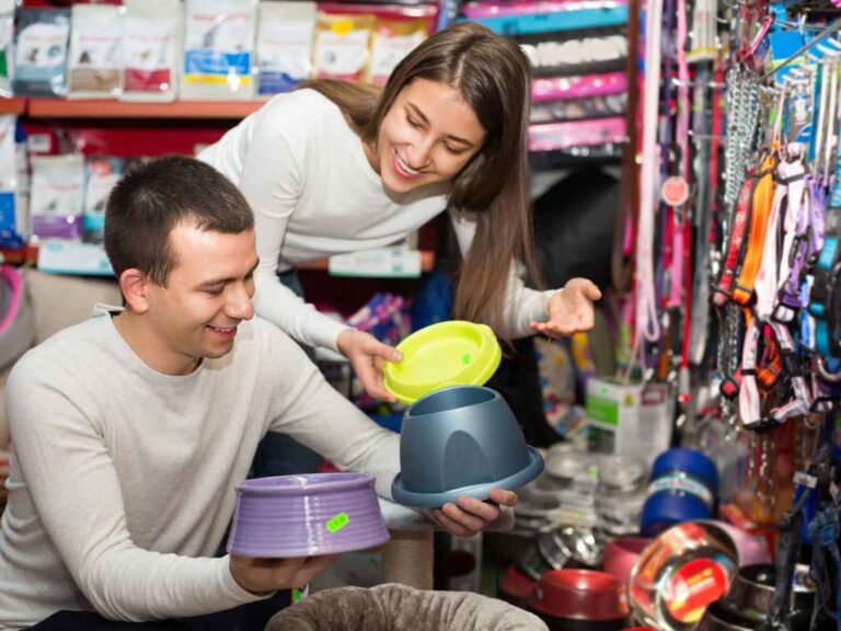 Crescimento do mercado pet no Brasil - Blog Pet