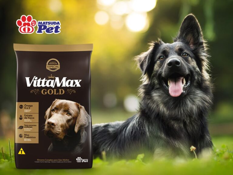 3 motivos para escolher VittaMax Gold para seu pet! - Blog Pet